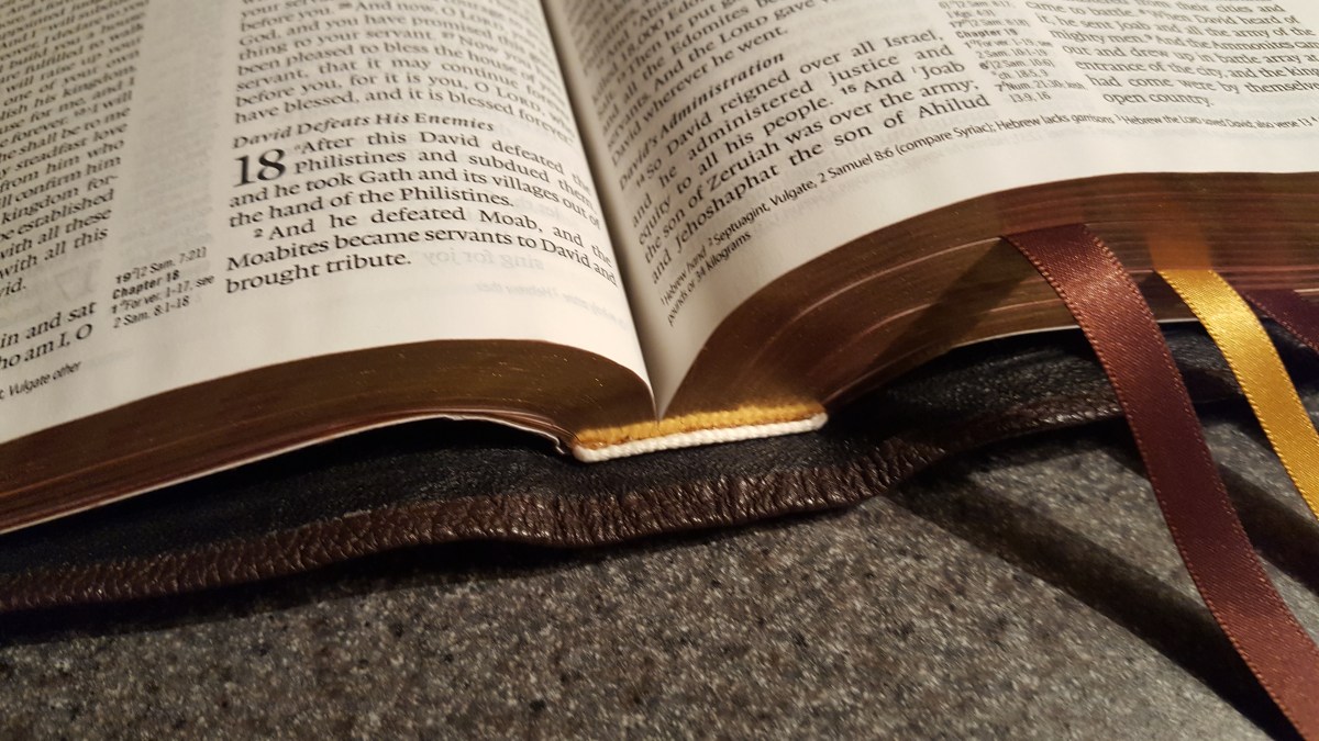 Head and Tail Bands: What are they? | Caloca Bibles